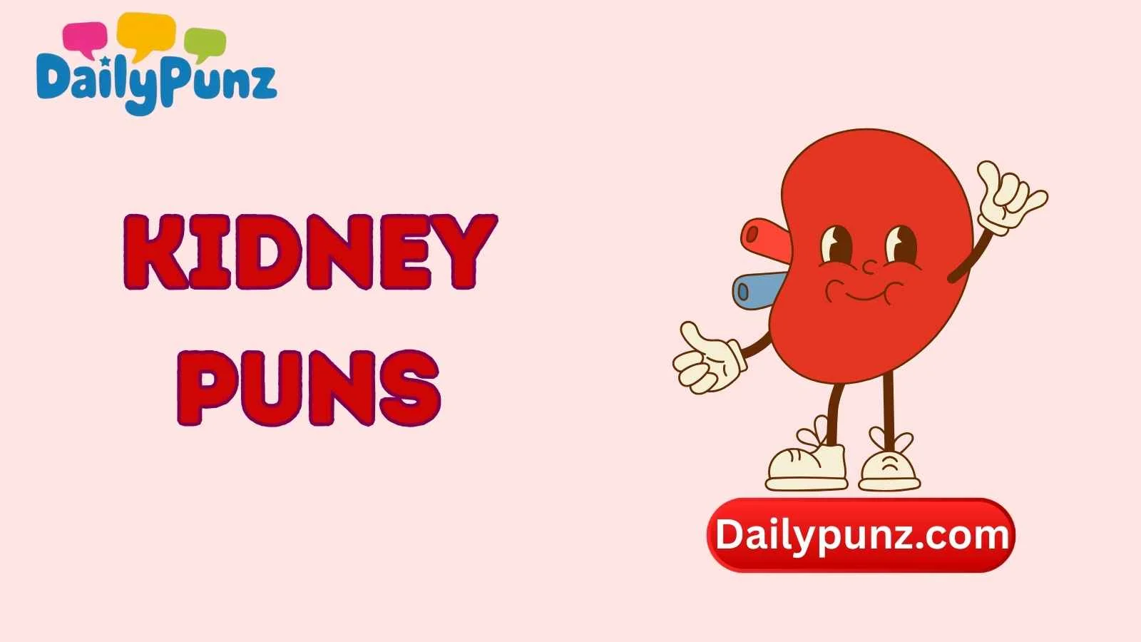 245+ Kidney Puns Hilarious Wordplay For Every Occasion - dailypunz.com